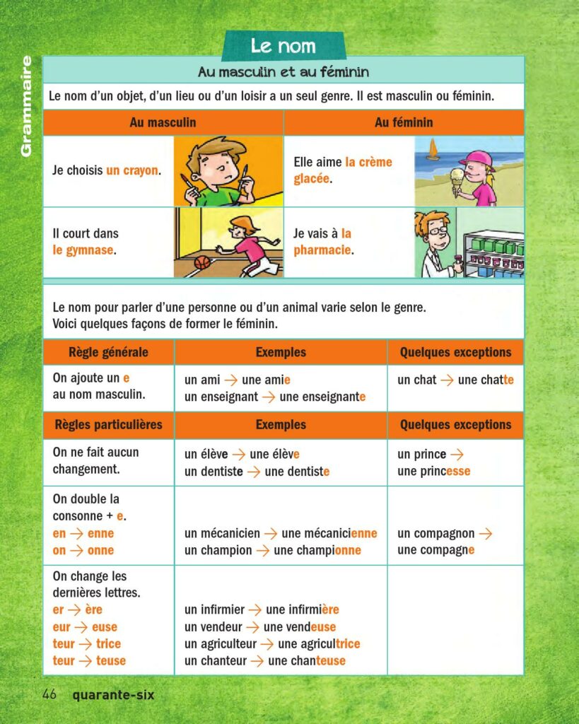 قواعد اللغة الفرنسية - Le masculin et le féminin - موقع الدراسة الجزائري